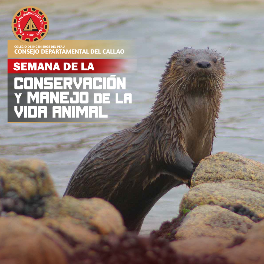 Semana de la Conservación y Manejo de la Vida Animal – CONSEJO ...
